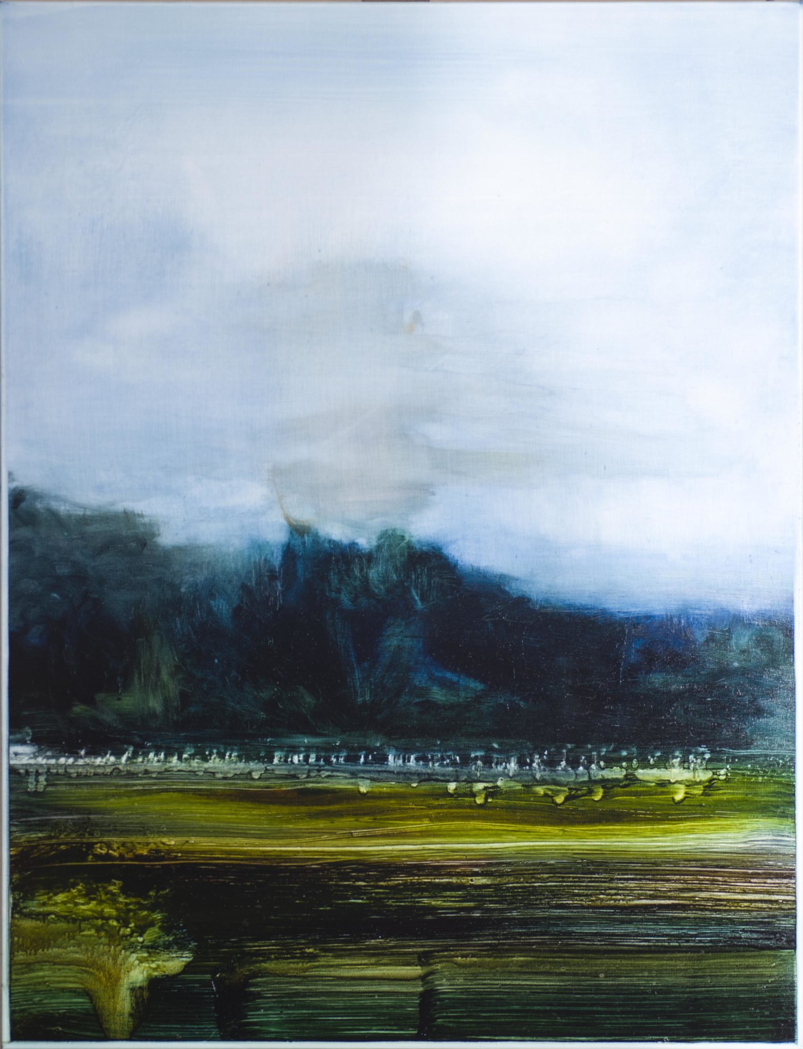 JOHAN VAN MULLEM | Loo & Lou Gallery